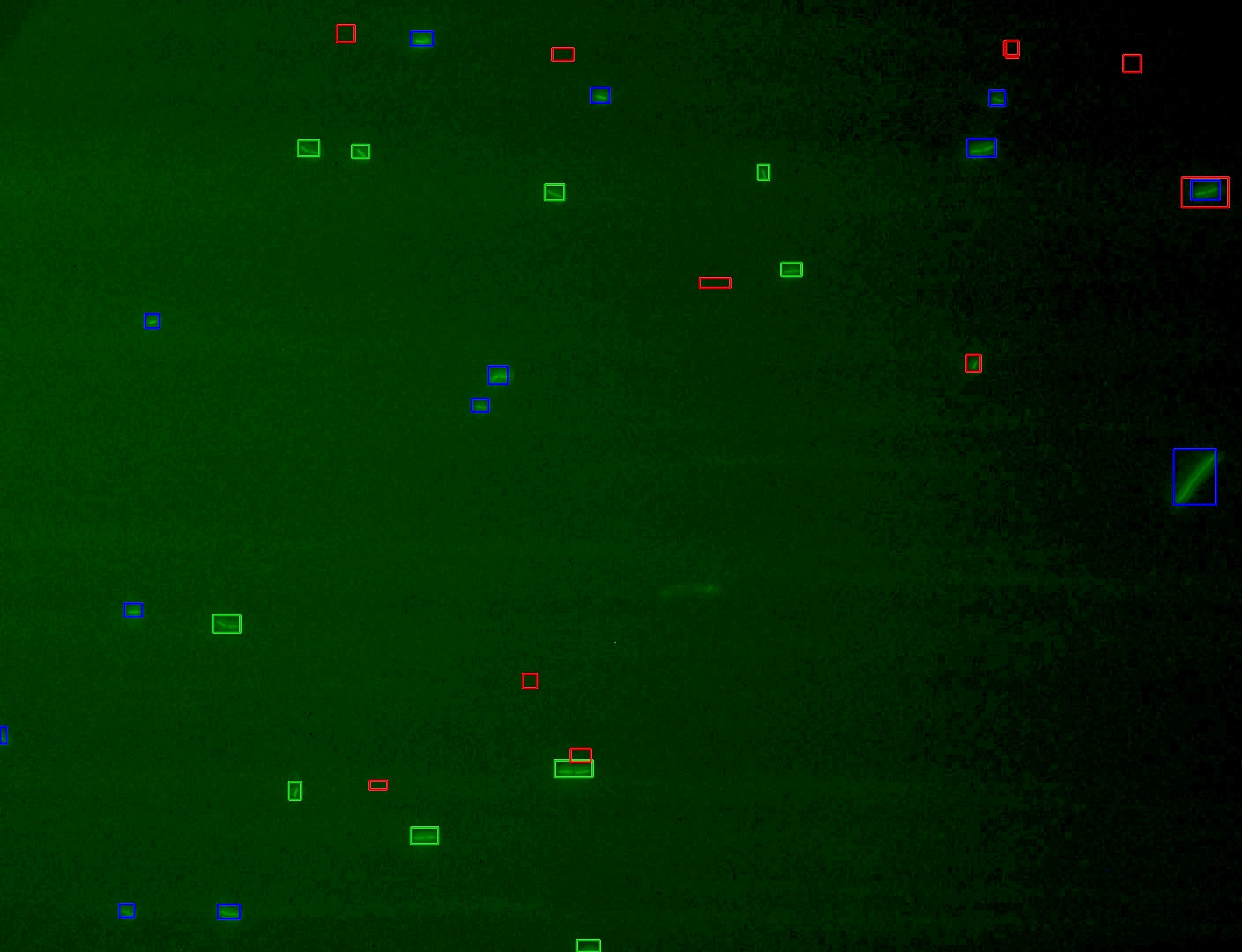 Bacteria Tracker - Home